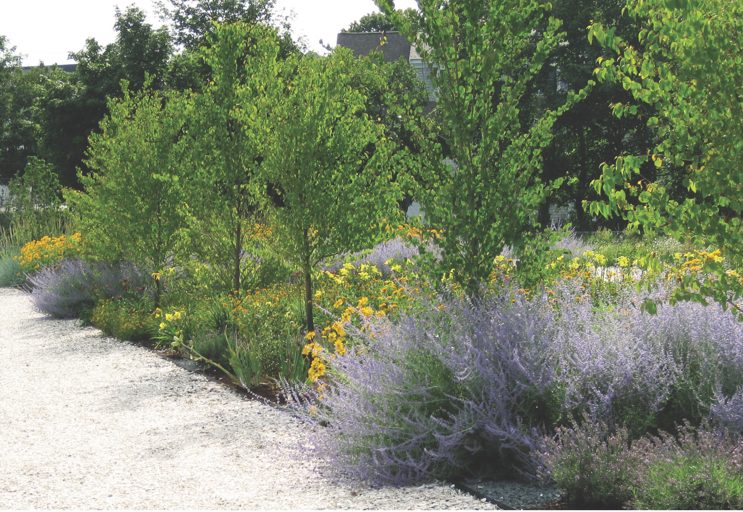 PlantWorks - Offshoots