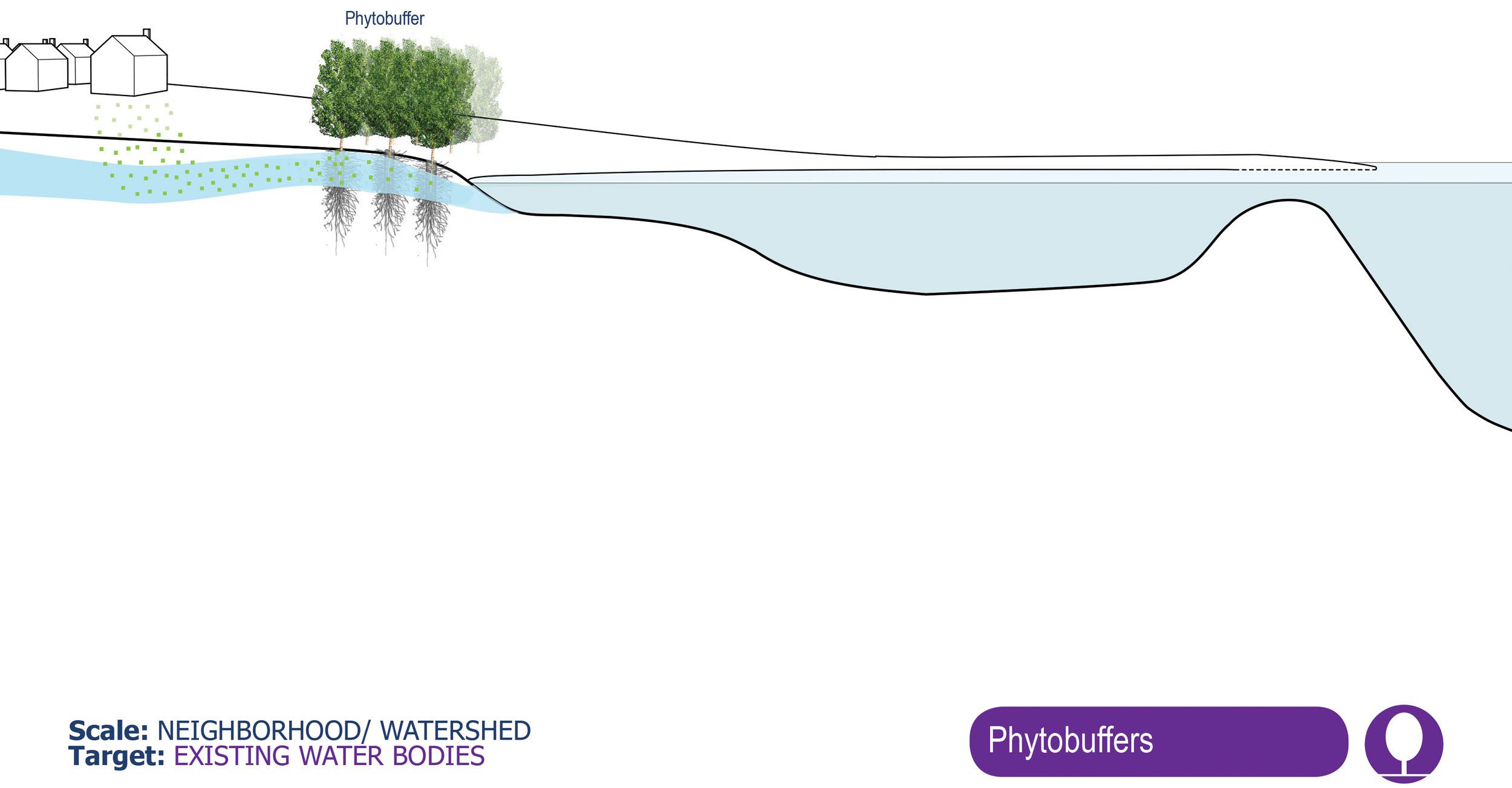 Cape Cod Wastewater Study - Offshoots