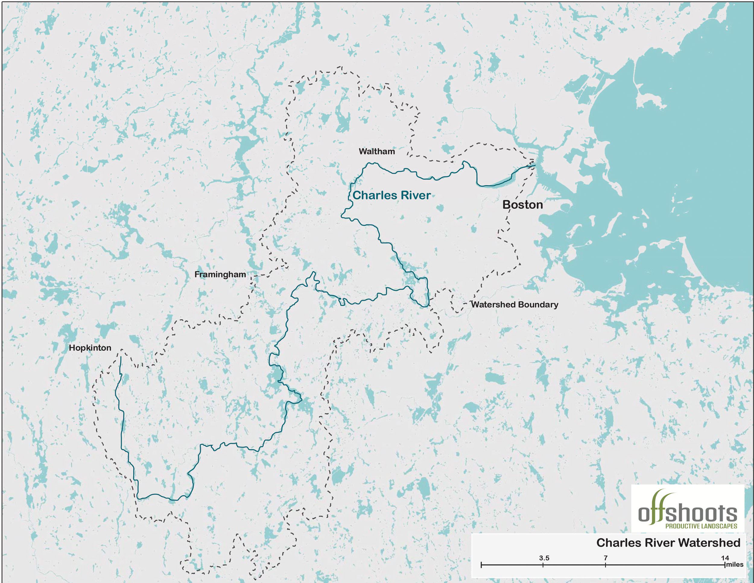 Charles River Shoreline Vegetation Management Plan - Offshoots