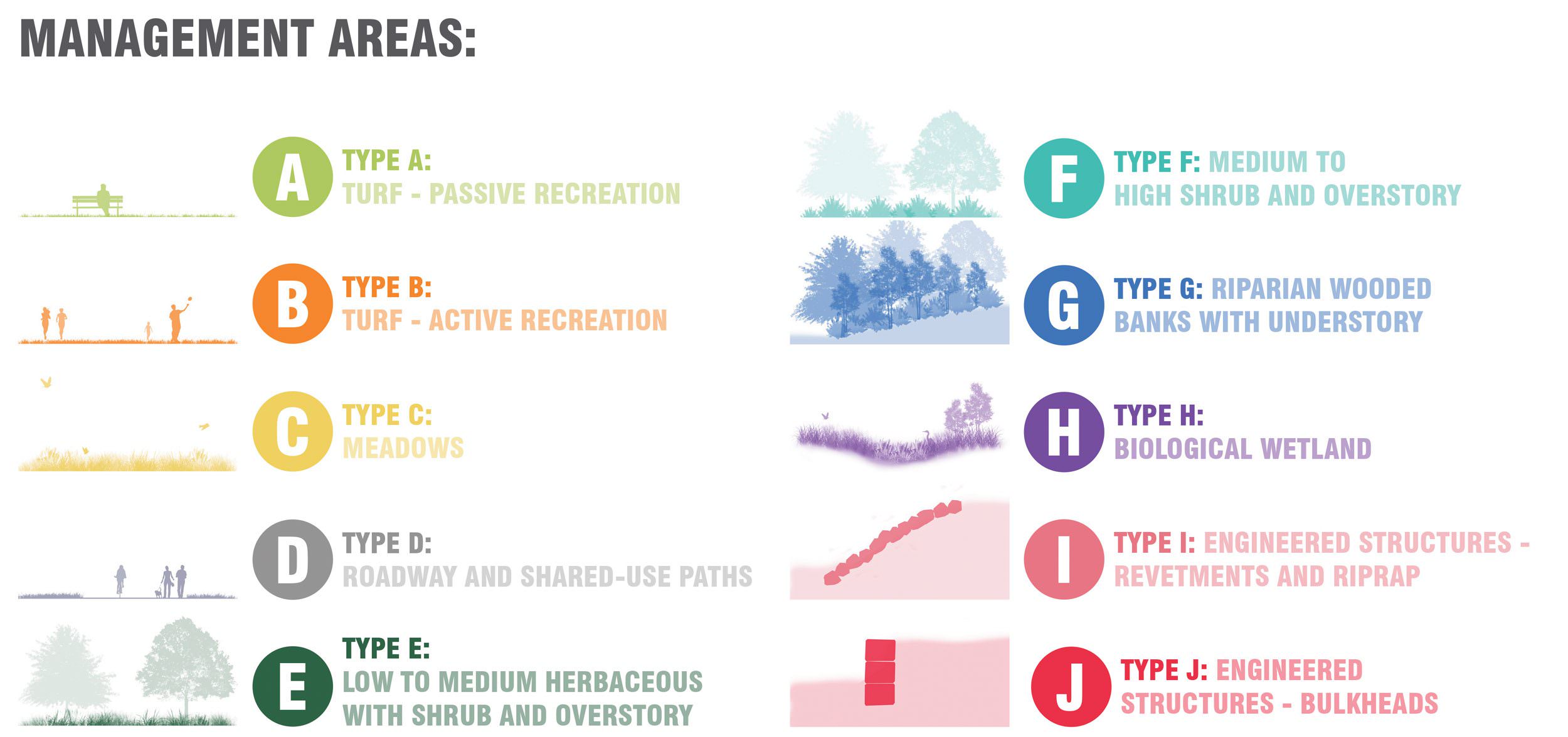 Charles River Shoreline Vegetation Management Plan - Offshoots