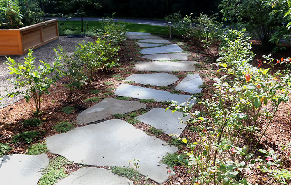 Acton-Bluestone-Path-Offshoots-Planted-Joints - Offshoots