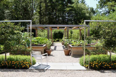 Project Highlight - Possibilities for an Entirely Edible Garden - Offshoots