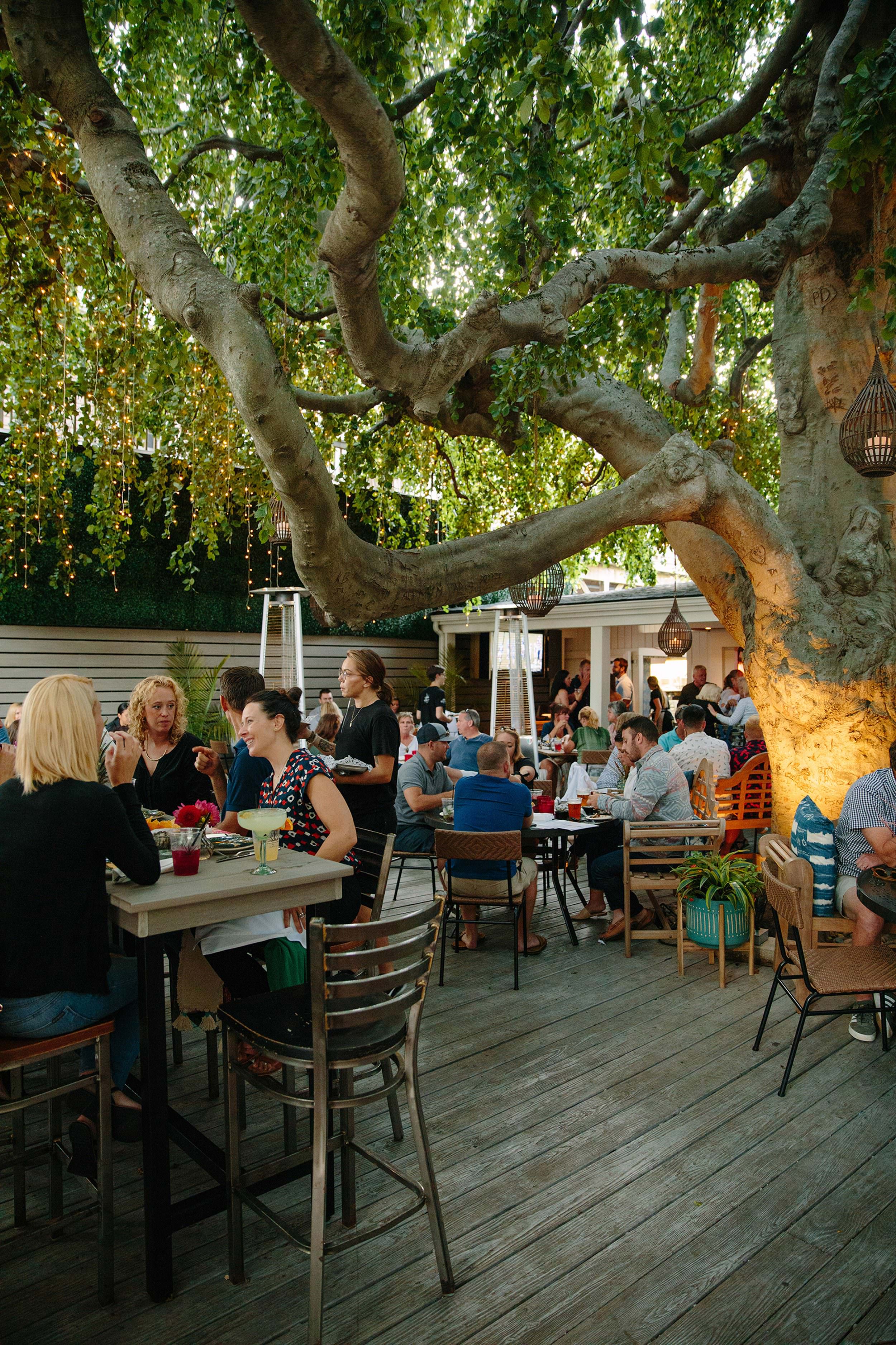 Anejo Restaurant - Offshoots