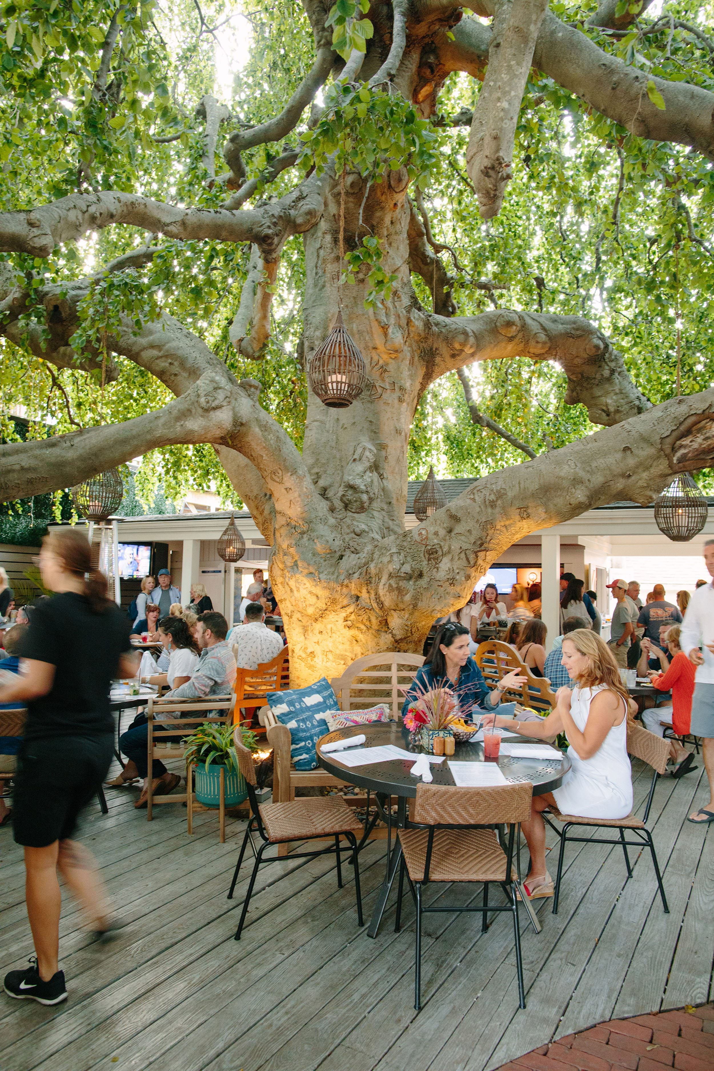 Anejo Restaurant - Offshoots