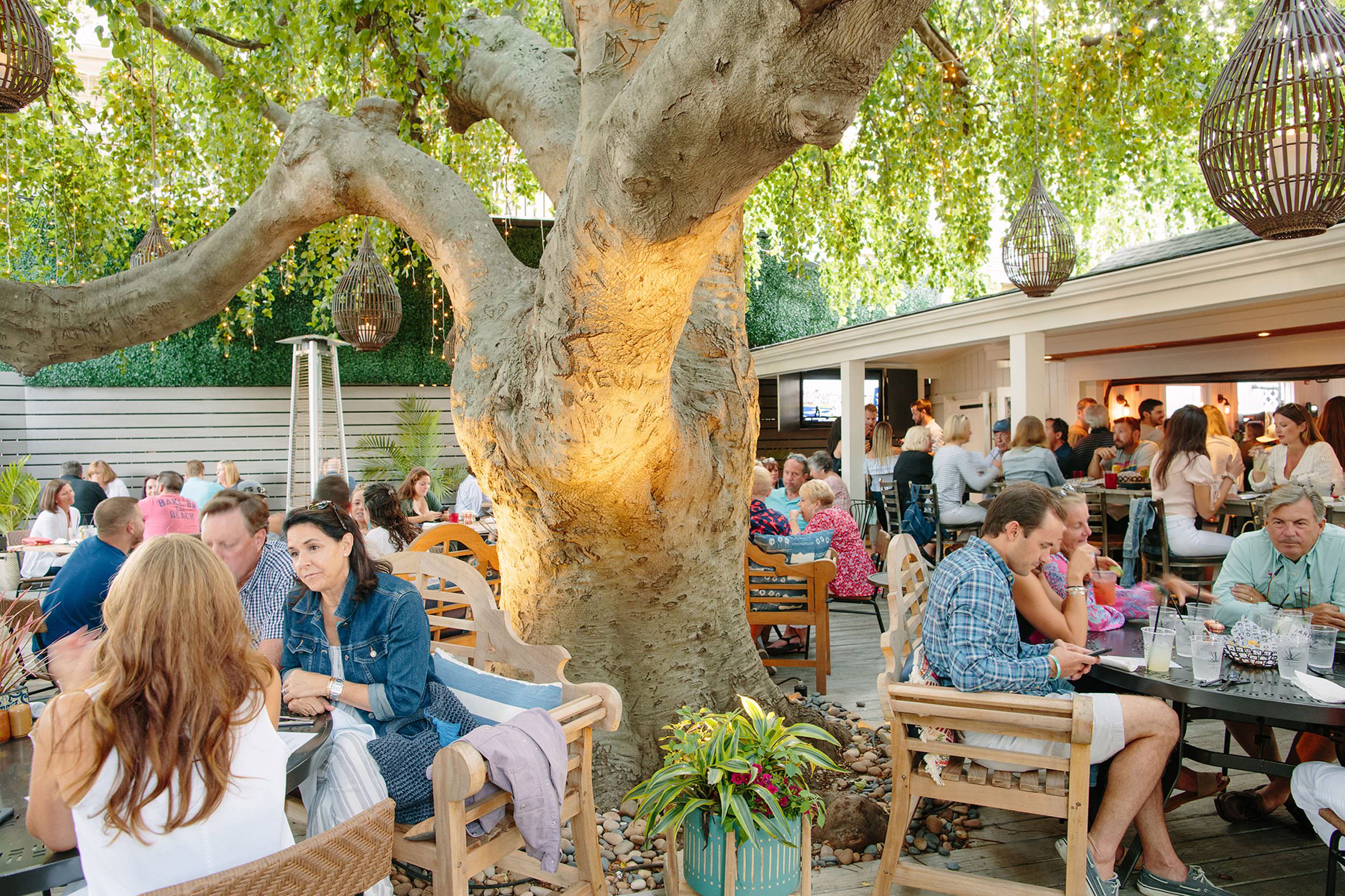 Anejo Restaurant - Offshoots