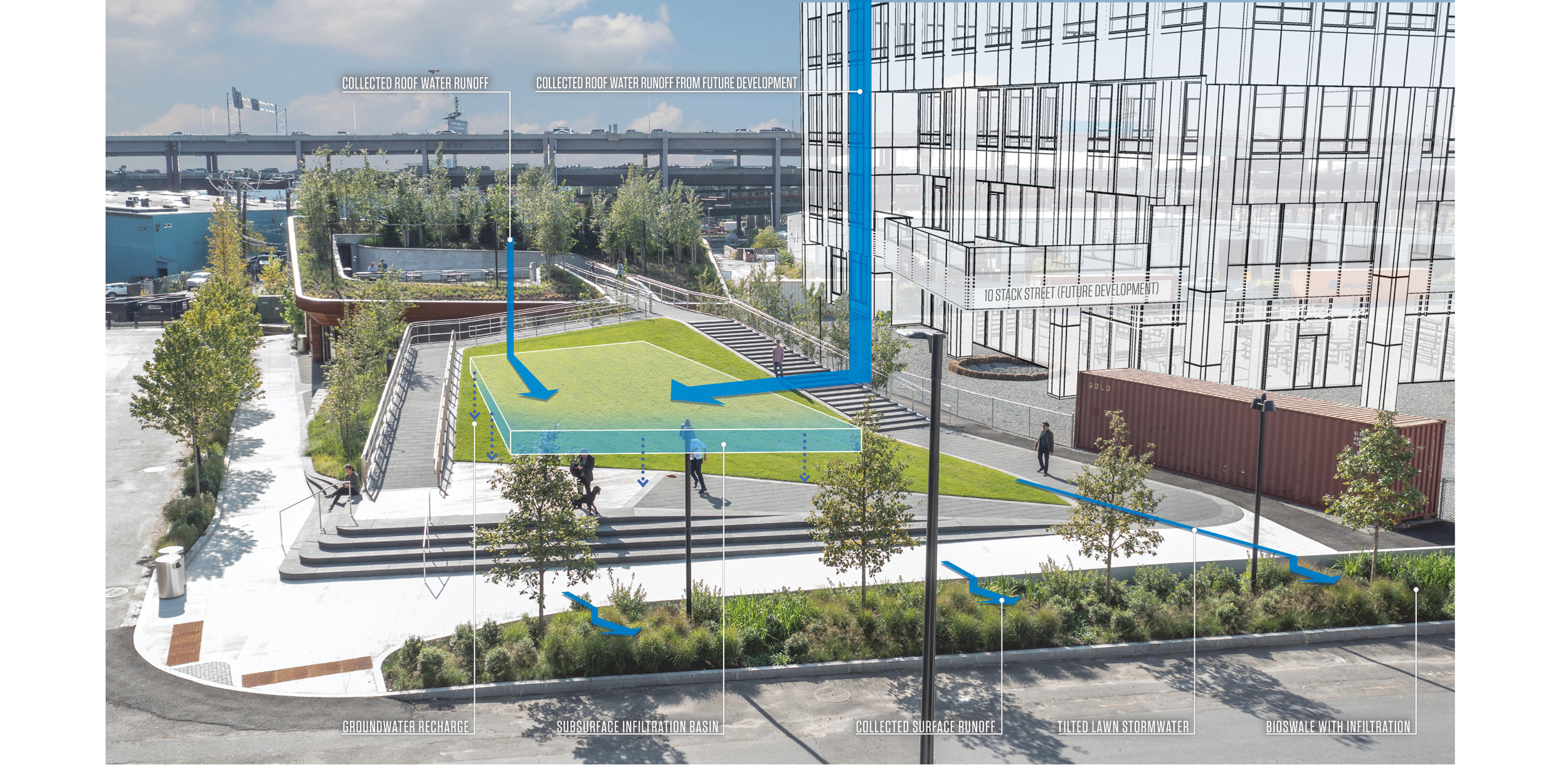 Hood Bike Park: Pollution Purging Plants - Offshoots