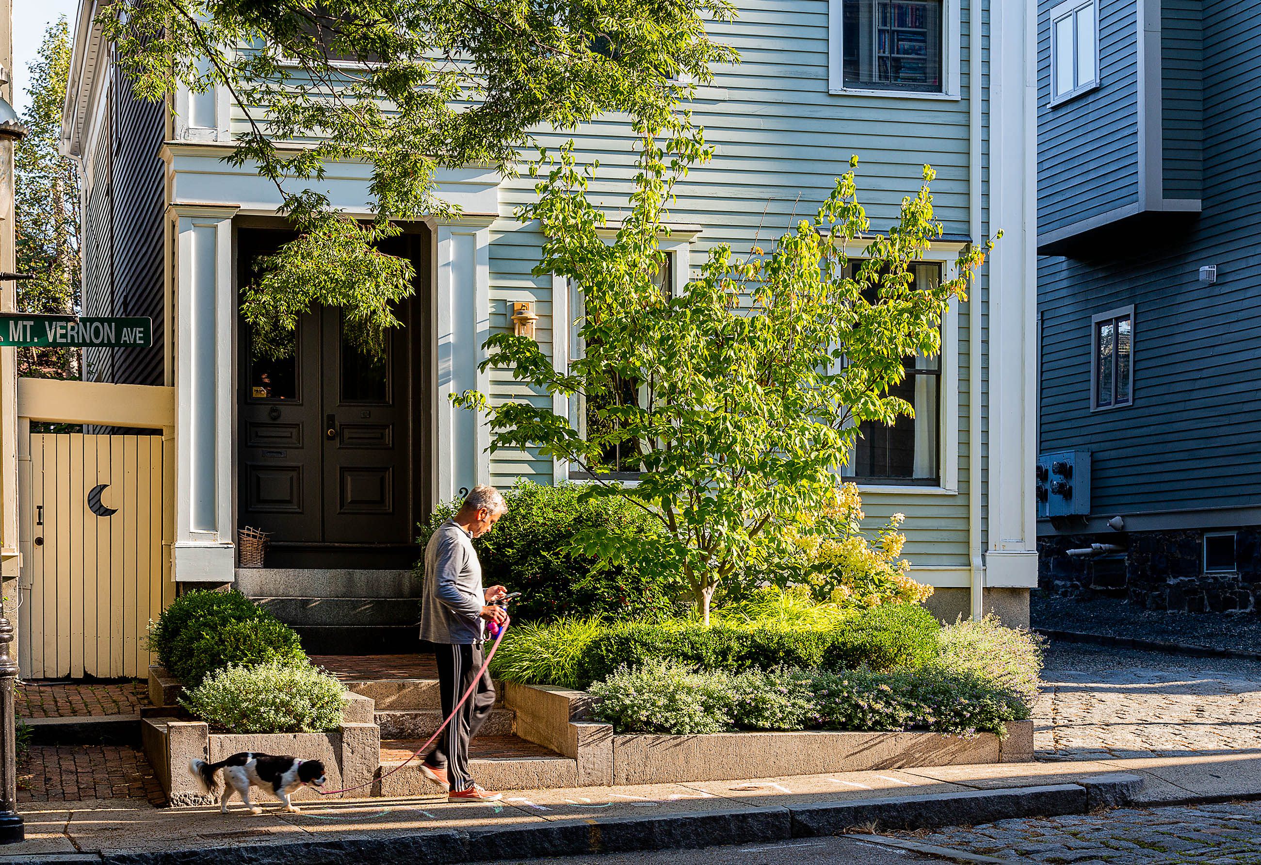 Urban Entry Courtyards - Offshoots
