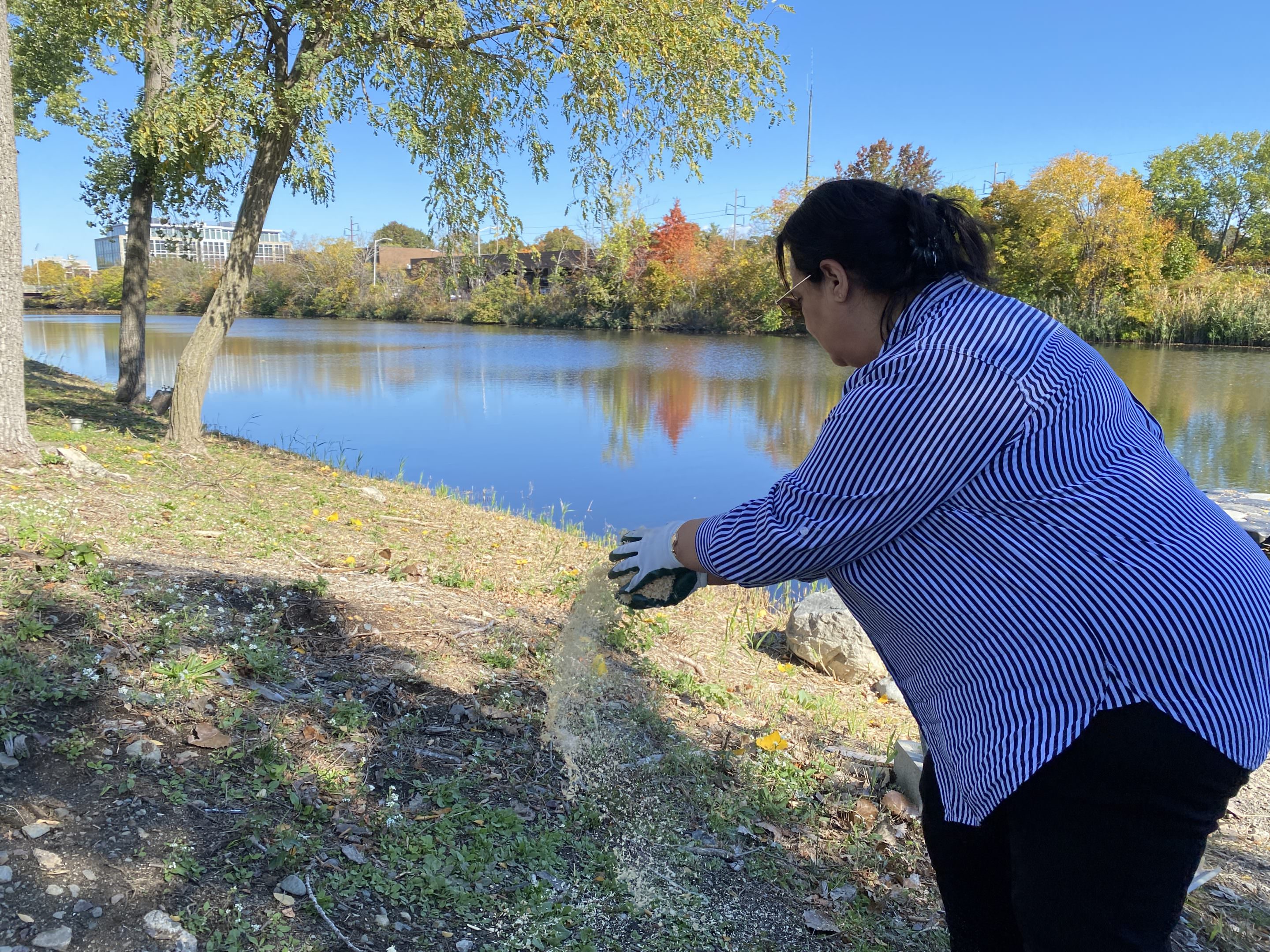 Malden River Works - Offshoots