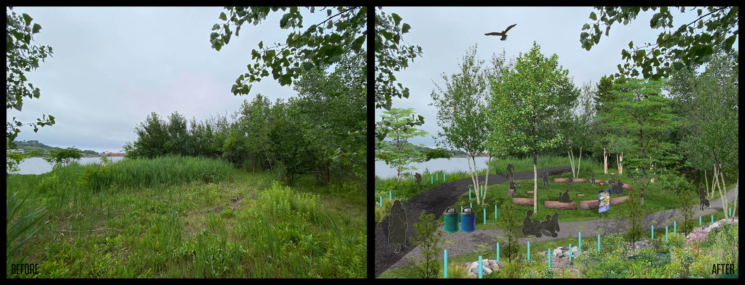 Chelsea Creek Nature Trail - Offshoots