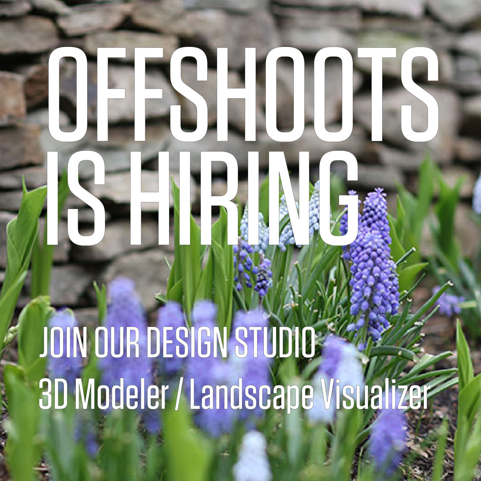 3D Model and Landscape Visualizer - Offshoots