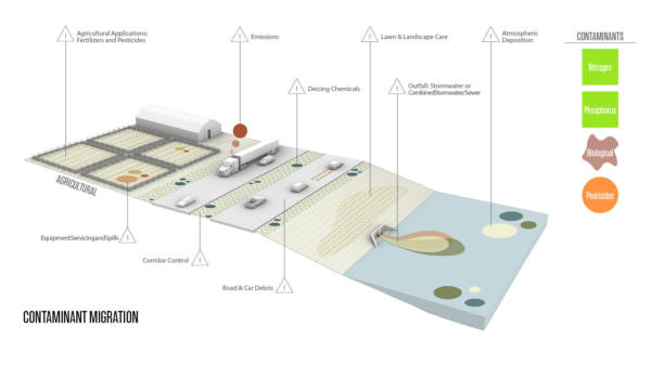 MYCO: MassDOT Mycofiltration Project - Offshoots