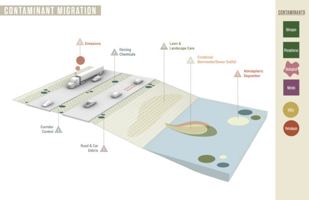 MYCO: MassDOT Mycofiltration Project - Offshoots