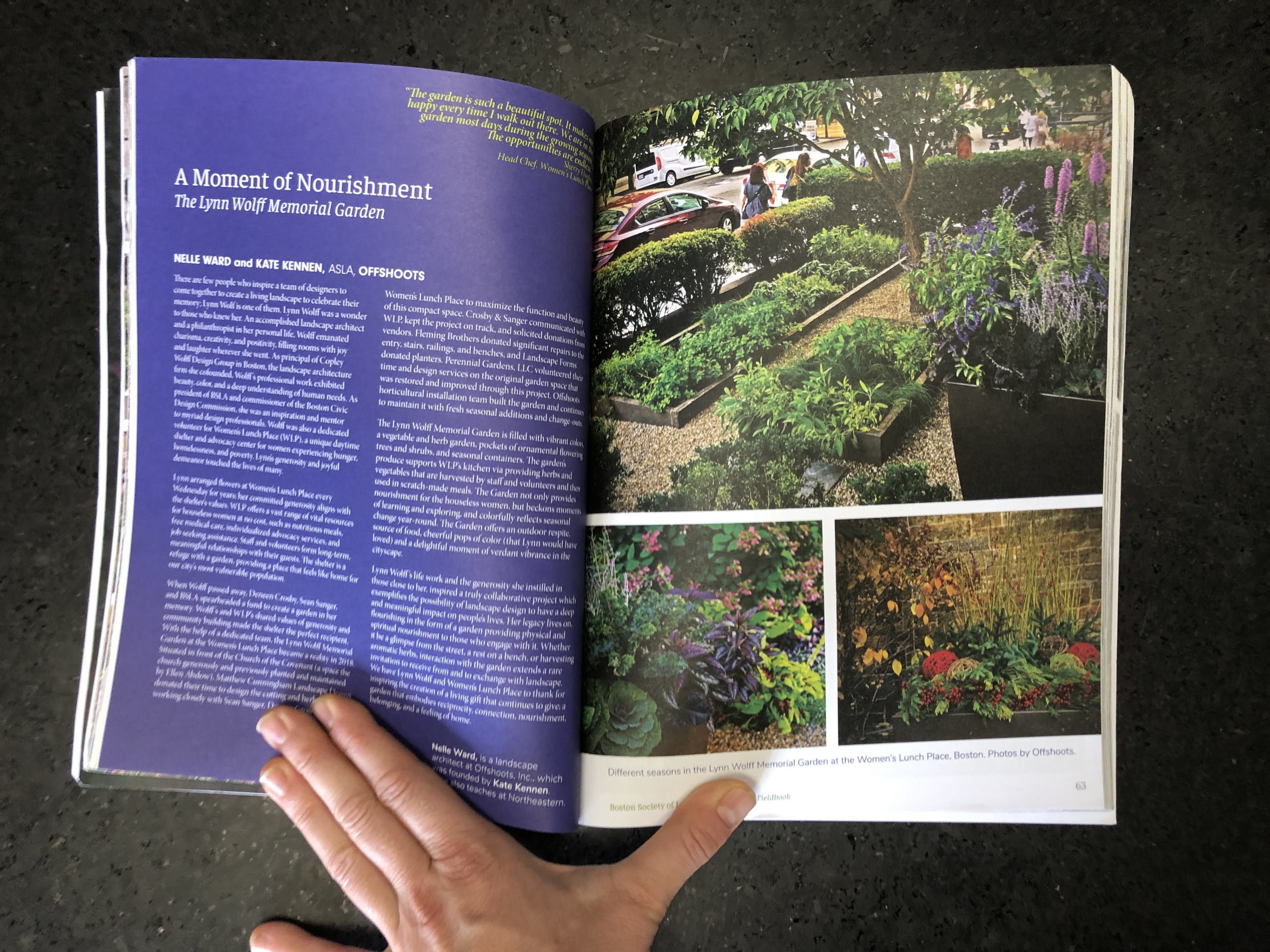 Offshoots is in the BSLA Field Book this month! - Offshoots