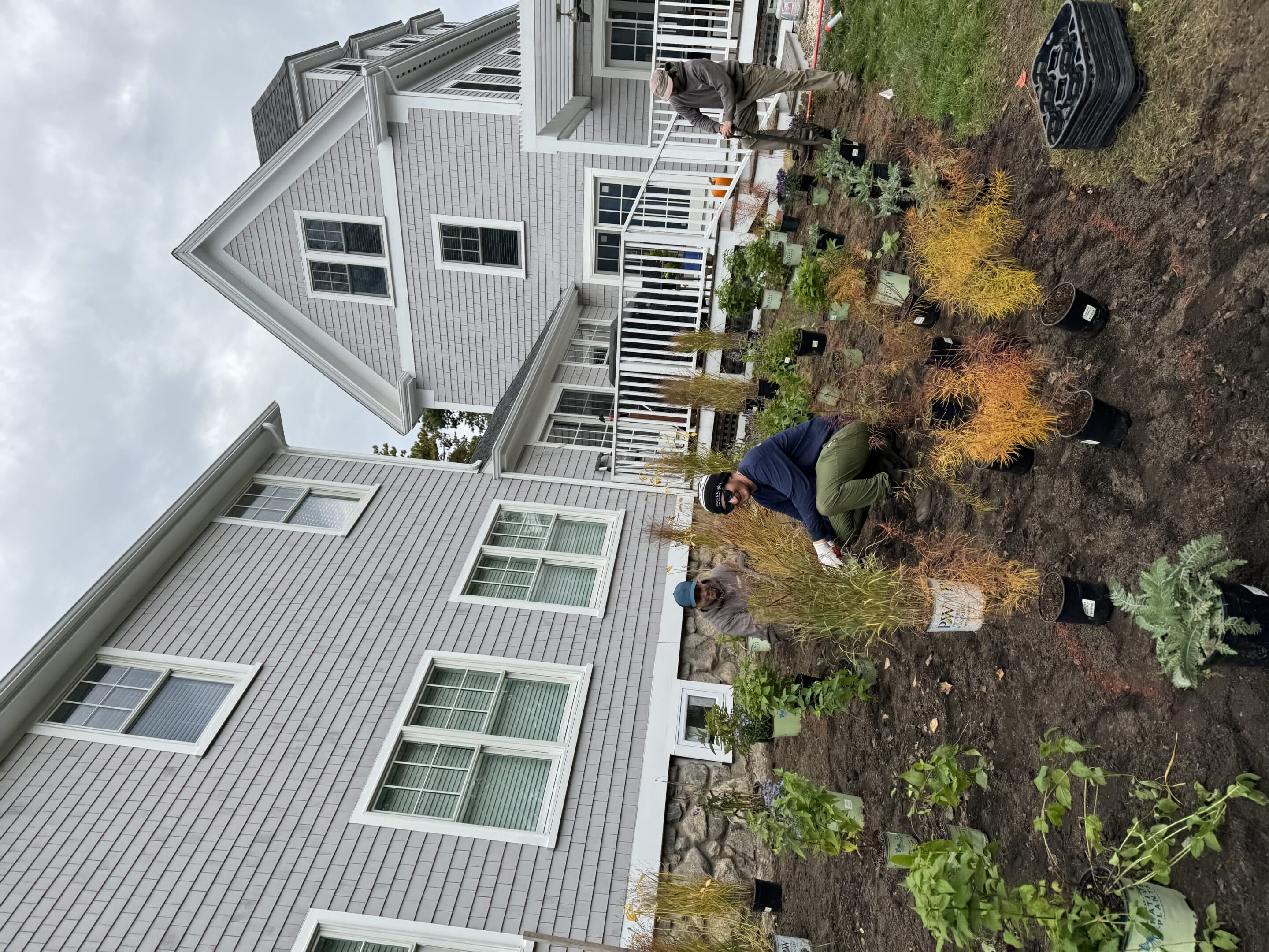 IMG_1797 - Offshoots