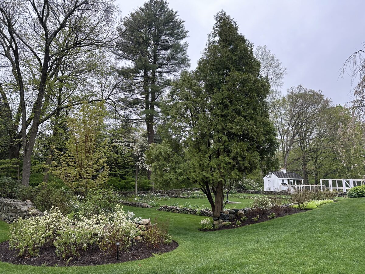Orchard and Spring Bulbs Installation - Offshoots