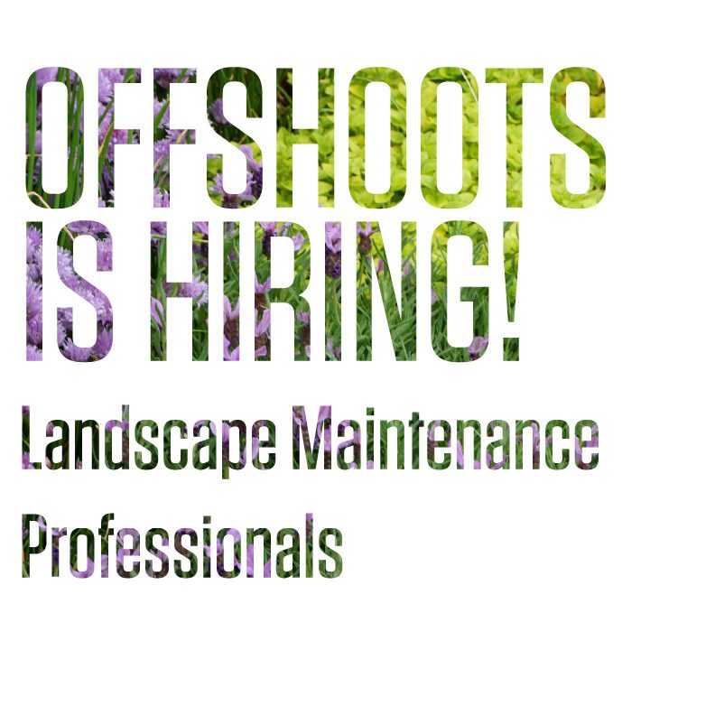 Offshoots is Hiring! Landscape Maintenance Professional - Offshoots